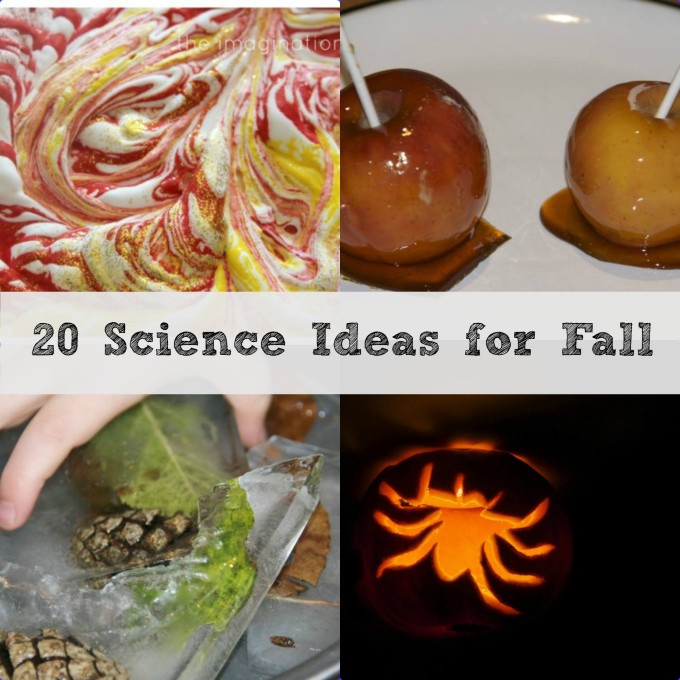 Science Experiments For Autumn And Fall