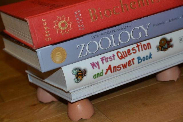 Ideas de experimentos sobre fuerzas y movimiento - ¿Qué es una fuerza ...