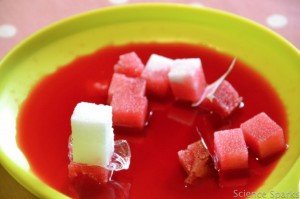 Colourful Sugar Cube Absorbing Experiment - Science for Kids