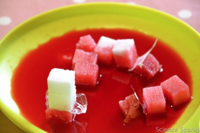 Colourful Sugar Cube Absorbing Experiment - Science for Kids