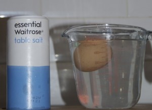 How to Make an Egg Float - Kitchen Science for Kids