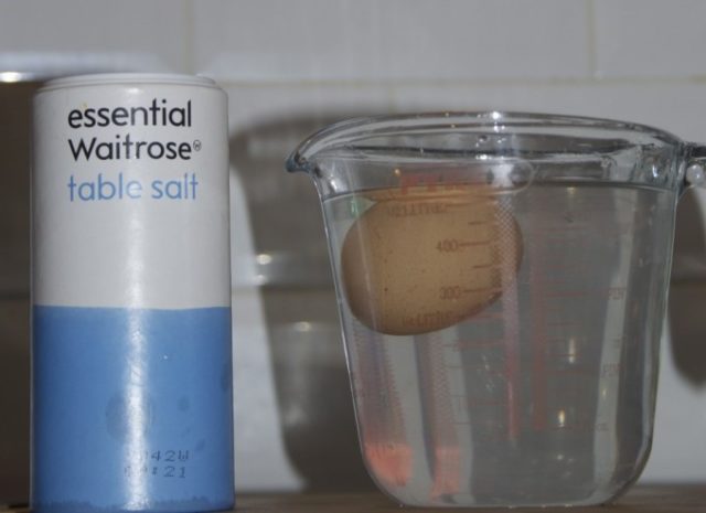 How To Make An Egg Float Kitchen Science For Kids