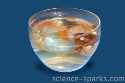 How to dissolve an eggshell