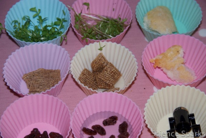 Preschool science activity - exploring wet and dry