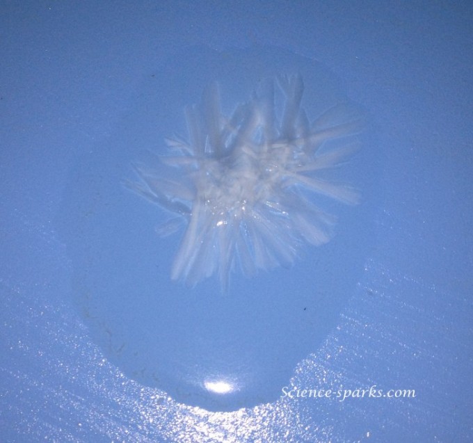 How to make hot ice - Science Magic