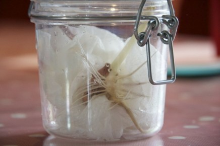 Fairy Tale Science Experiments - Science for Kids