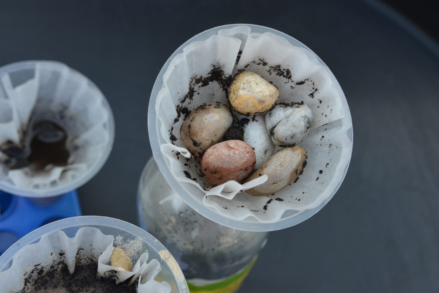 Paper Chromatography Experiment