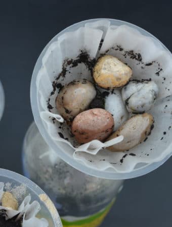 Science Experiments for Kids - Science Sparks