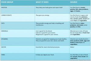 Food groups for kids