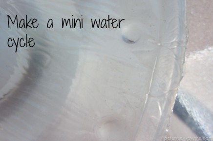 Make a Water Cycle Model - Weather Science for Kids