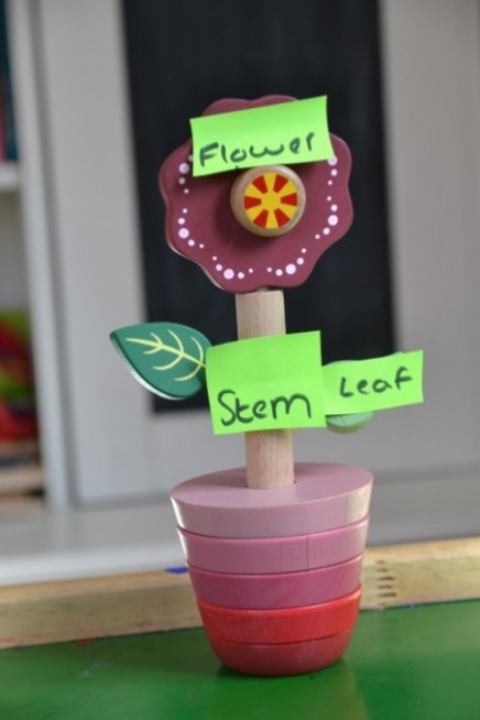 Easy preschool plant activity
