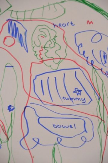 Draw Your Body - Playful Science for Kids