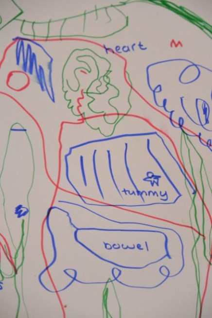 Draw Your Body - Playful Science for Kids