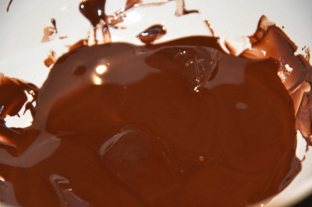 Science for kids - melting