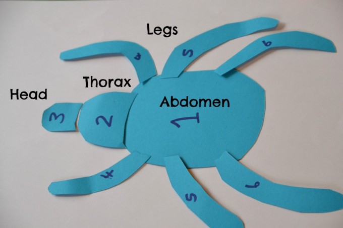 Science for kids - Beetle game