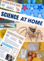 Science Experiments at Home - Equipment and Supplies