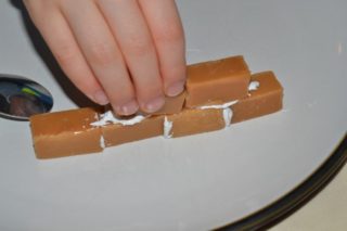 15 AMAZING Candy Science Experiments for kids