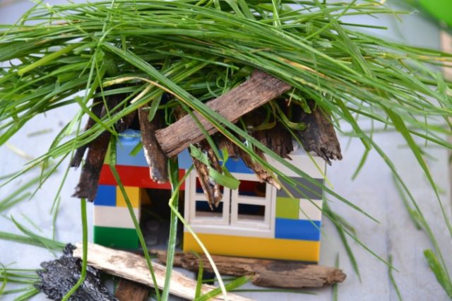 Fairy Tale Science Experiments - Science for Kids