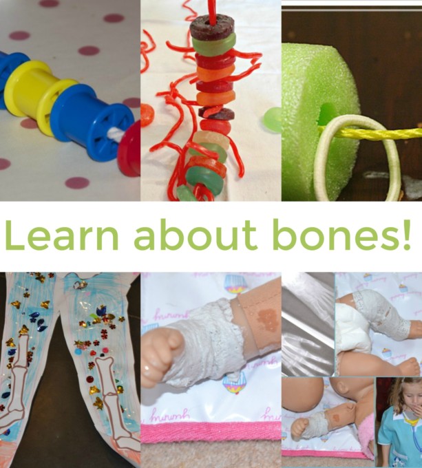 Biology for Kids - Why do we have bones - Science Sparks