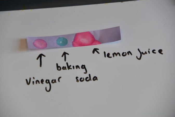 Science for Kids - How to make pH indicator test strips
