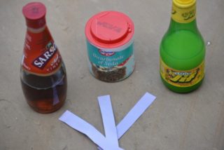 Science for Kids - How to make pH indicator test strips