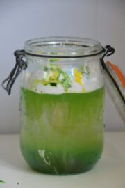 Science Experiments you can do in a Jar - easy science for kids
