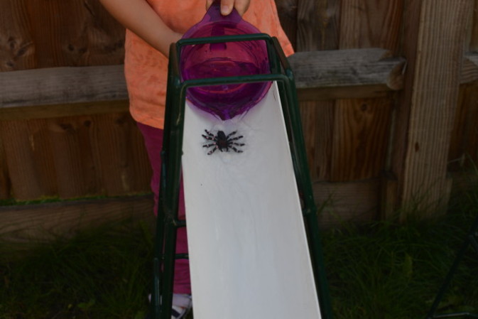 Incy Wincy Spider Science Experiments - Nursery Rhyme Science