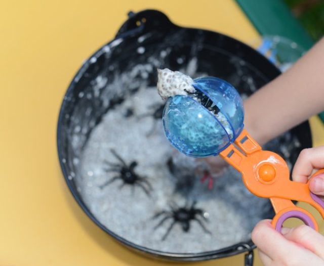 Fine Motor Skills - Science based fine motor skills activities