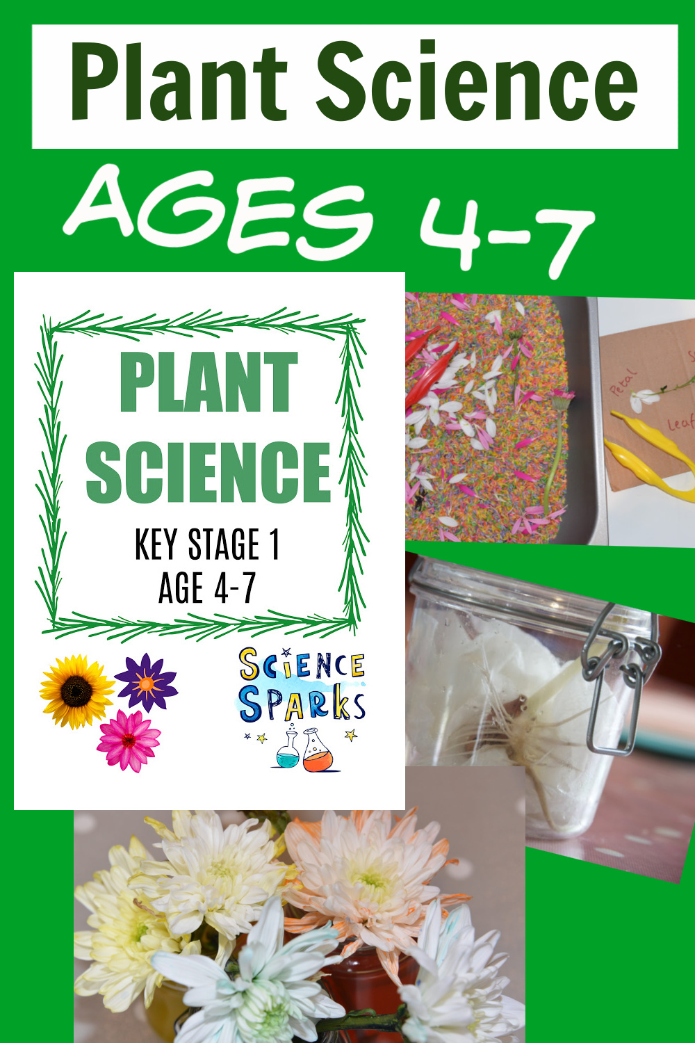 Plant Science Experiments for Key Stage 1 - Science For Kids