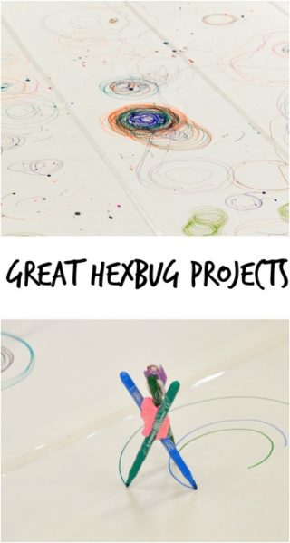 HEXBUG Activity Ideas