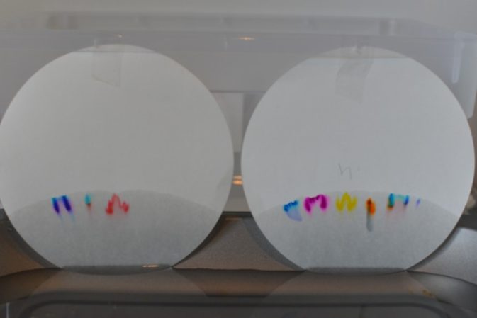 Fun Phonics for Kids - Chromatography and Phonics - Science Experiments ...