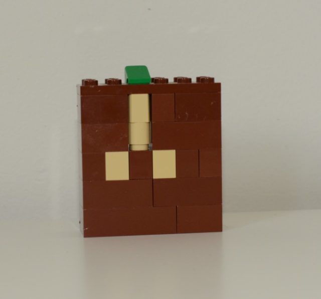 Plant Science - Plant Growth Model - Lego plant growth model