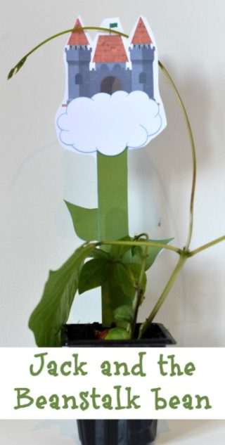 Fairy Tale Science Experiments - Science for Kids
