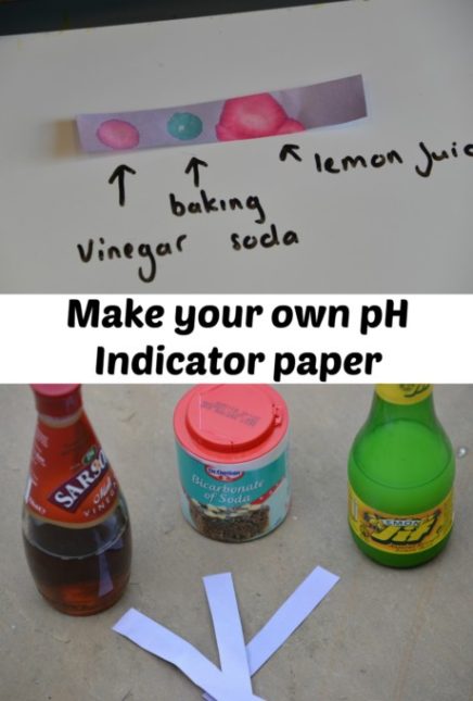 Science for Kids - How to make pH indicator test strips