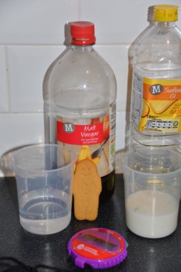 The Gingerbread Man Science Experiments - Science for Kids