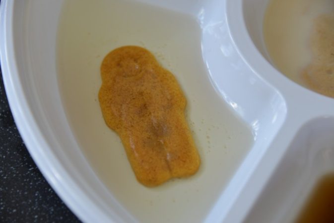 The Gingerbread Man Science Experiments - Science for Kids