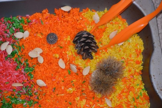 Autumn Rice Tray for Fine Motor Skills - Science Experiments for Kids
