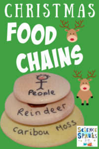 Reindeer Food Chain - Christmas Science for Kids