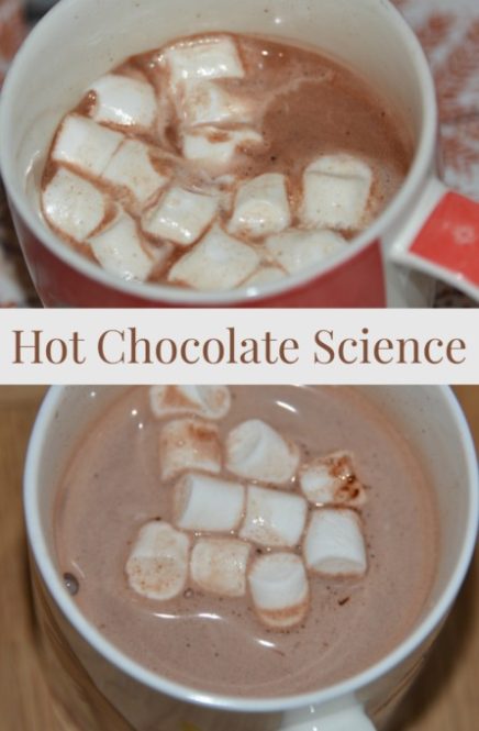 Easy Christmassy Science- Week 2