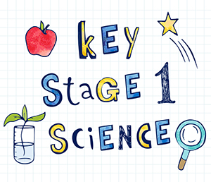 Science Experiments for Kids