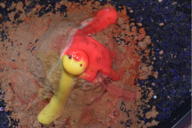 Explosive Science Experiments for Kids