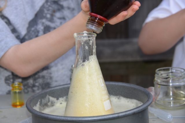 Science for Kids - Magical Fairy Potions for Kids