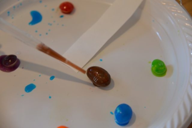 Candy Chromatography - Easy Candy Science for Kids