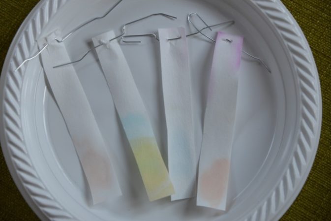 Candy Chromatography - Easy Candy Science for Kids