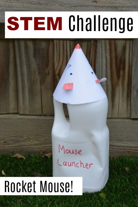 Rocket Mouse - Challenge 2