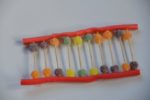 Candy DNA Model - Edible Science Experiment