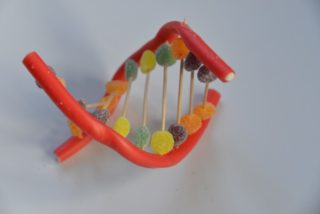 Candy DNA Model - Edible Science Experiment