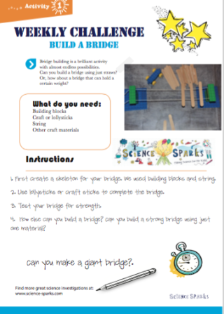 STEM Challenge - Build a Bridge