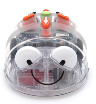 Make your own Bee Bot Map