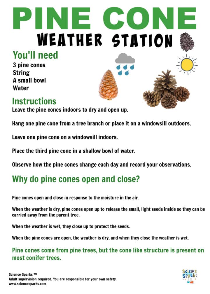 Homemade Weather Station - Pine Cone Weather Station